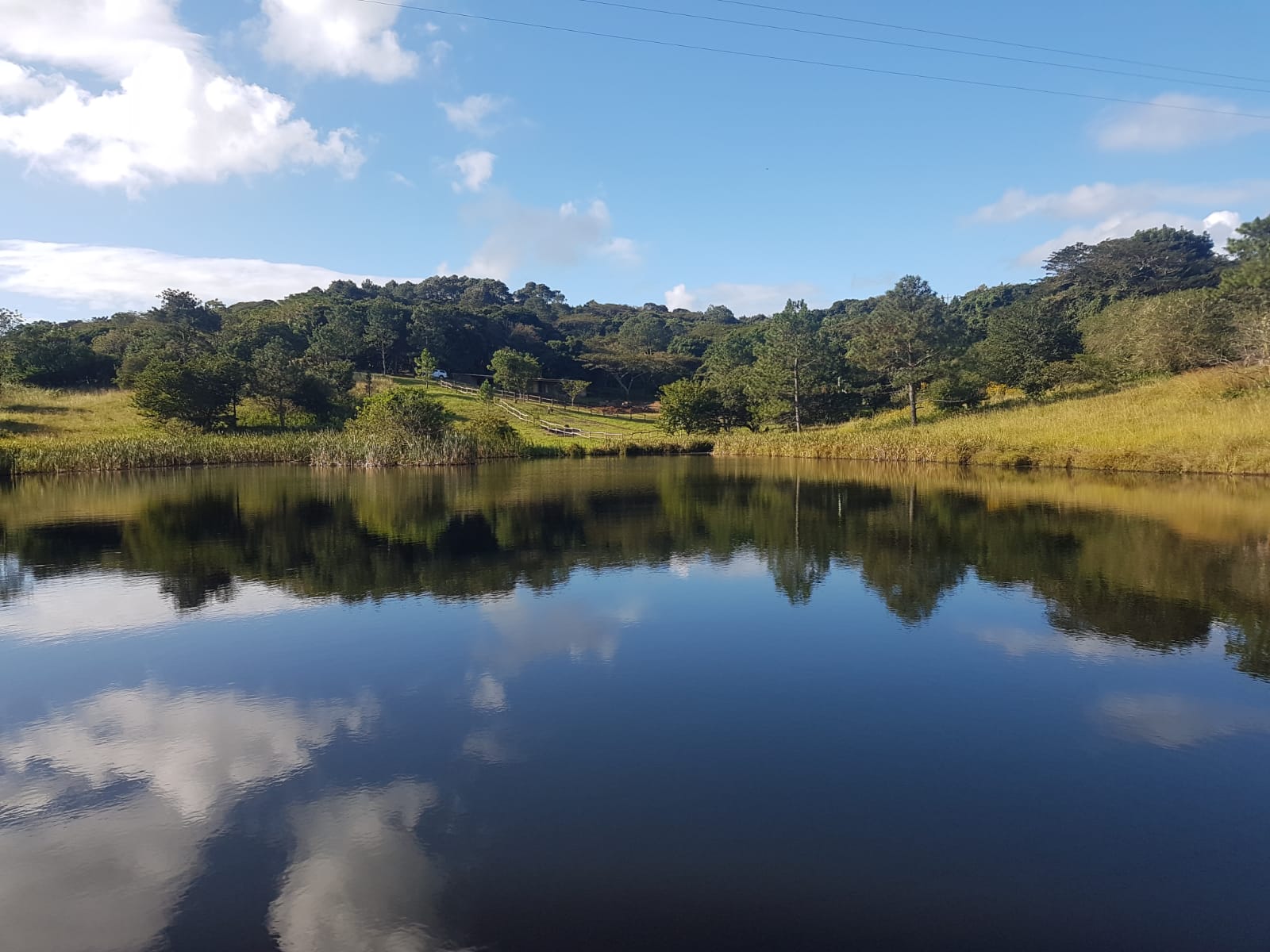 SOUTH COAST FARMS - Southern KZN Farms & Smallholding sales