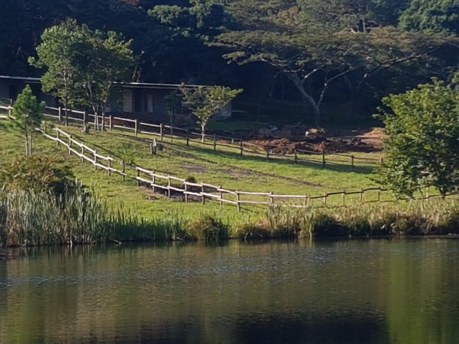 SOUTH COAST FARMS - Southern KZN Farms & Smallholding sales