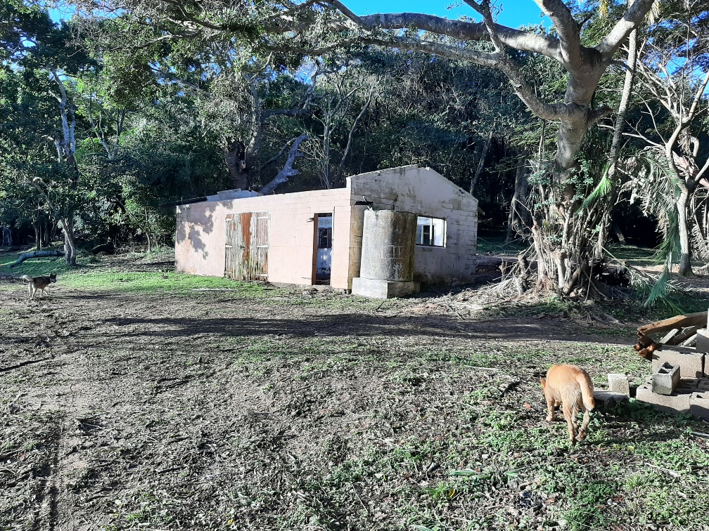 SOUTH COAST FARMS - Southern KZN Farms & Smallholding sales